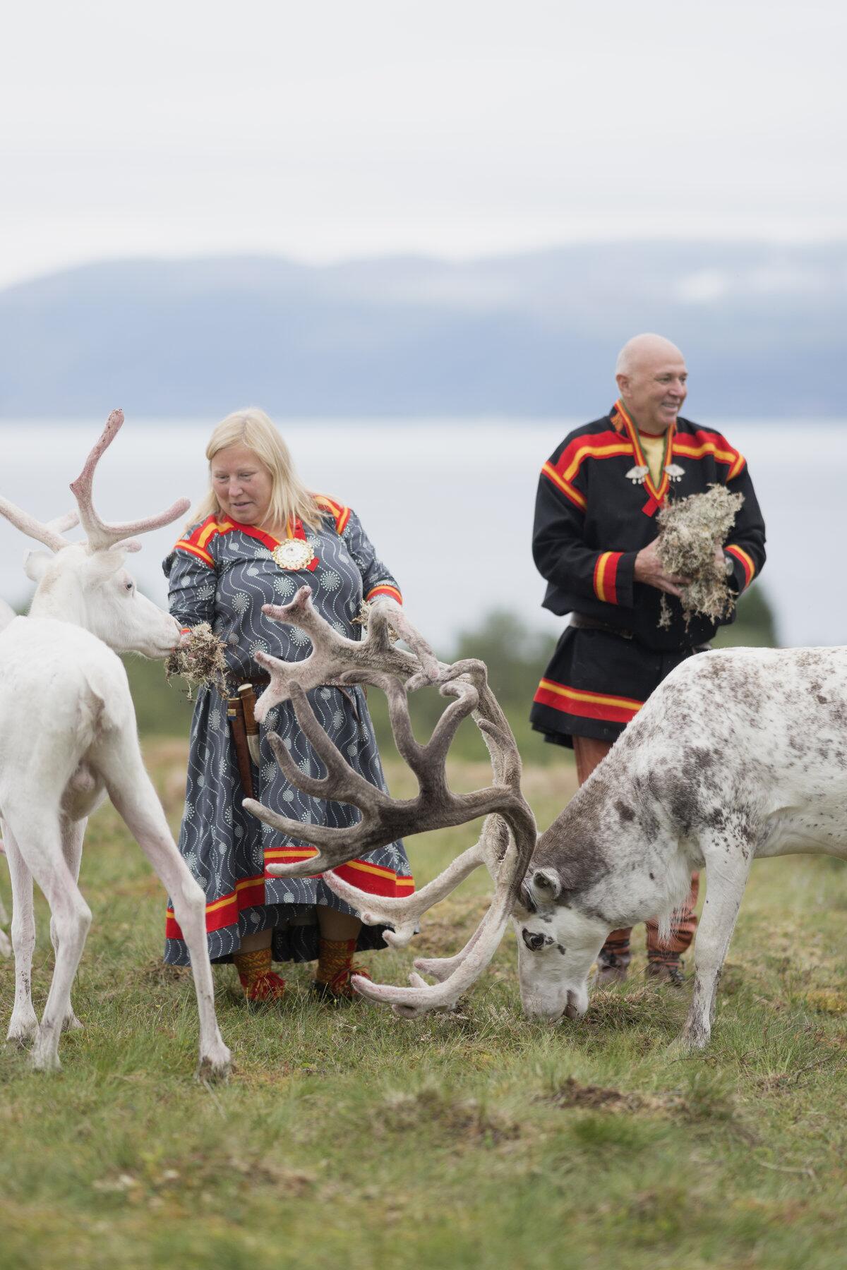 Sami Culture