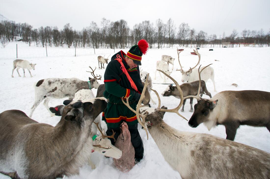 Samisk vinter - Inga Sami Siida